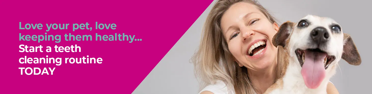 Dog Dental Care & Puppy Hygiene | Boundary Vets