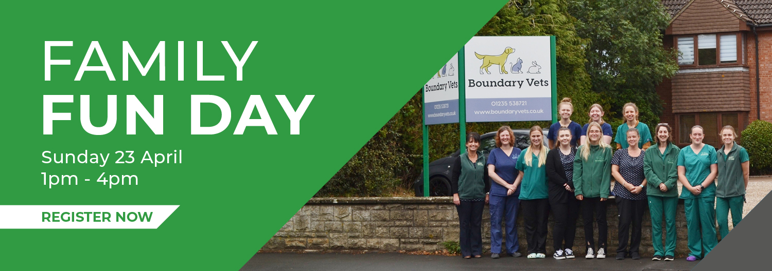 Boundary Vets | Your local veterinary practice in Abingdon