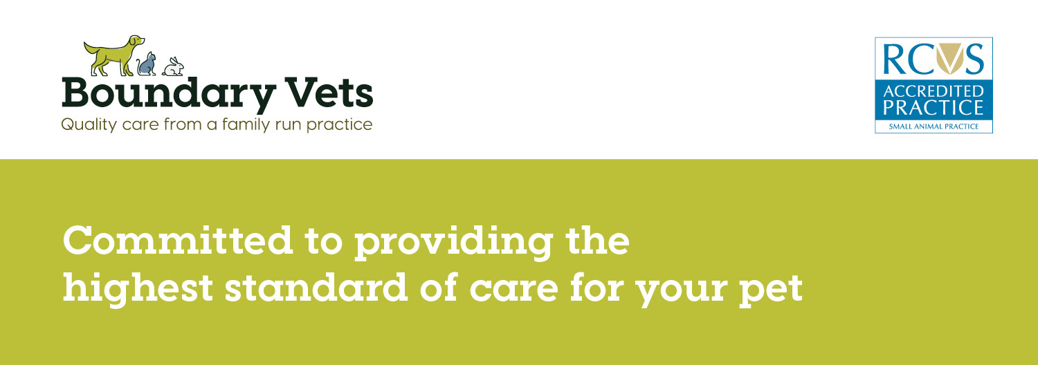 RCVS Accredited Veterinary Centre | Boundary Vets News